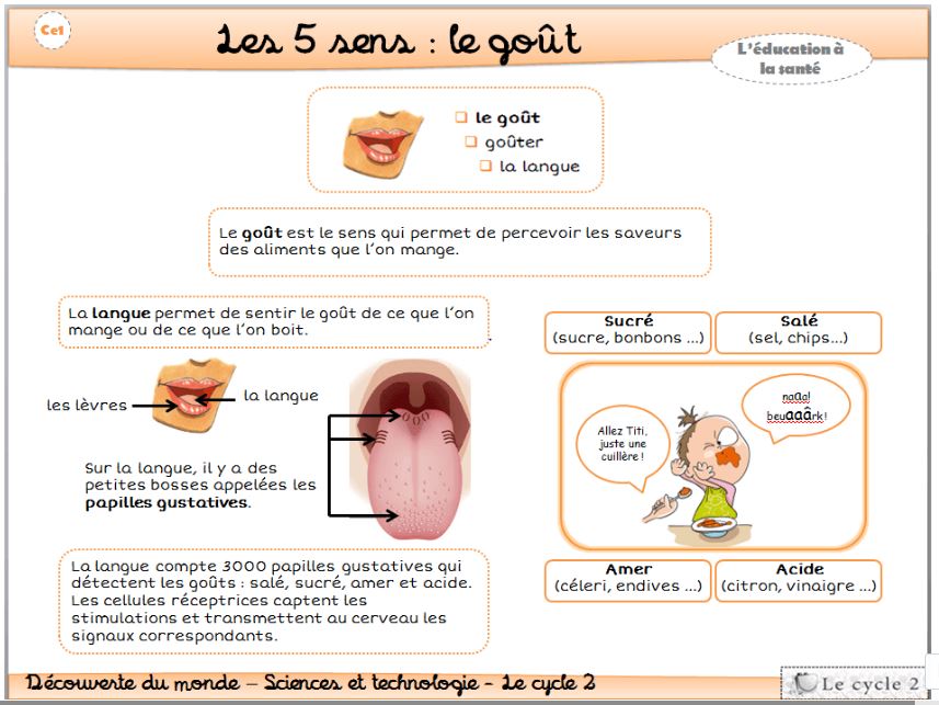 Les 5 sens : le toucher - Site de l'école Saint Joseph de Courbeveille
