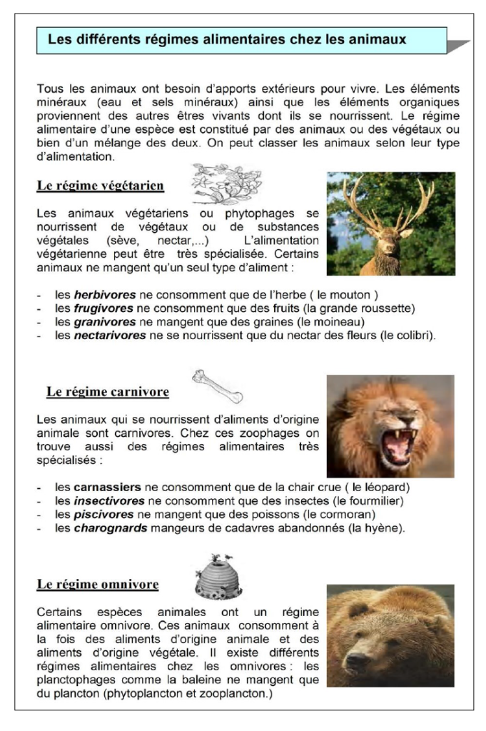 Les animaux, leur habitat, leur nourriture - Site de l'école Saint ...